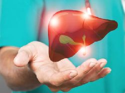 Ediciones VR - Aprueban el primer medicamento para combatir el hígado graso